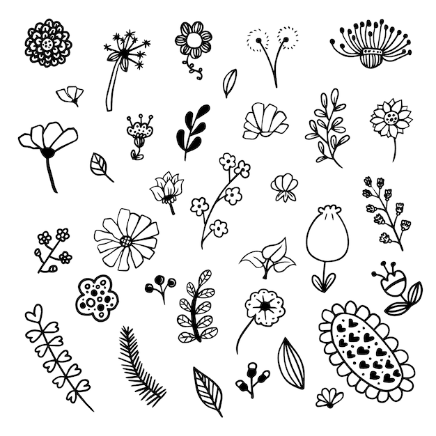 Colección De Flores Dibujadas A Mano Descargar Vectores Gratis
