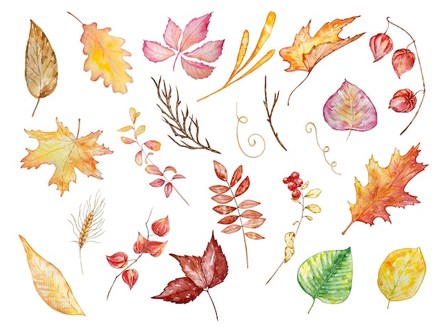 Conjunto de ilustración acuarela de otoño amarillo naranja y rosa hojas ... Conjunto de ilustración acuarela de otoño amarillo naranja y rosa hojas ...