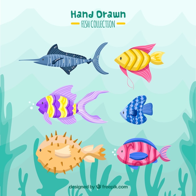 Conjunto de peces coloridos en estilo hecho a mano | Vector Gratis Conjunto de peces coloridos en estilo hecho a mano | Vector Gratis