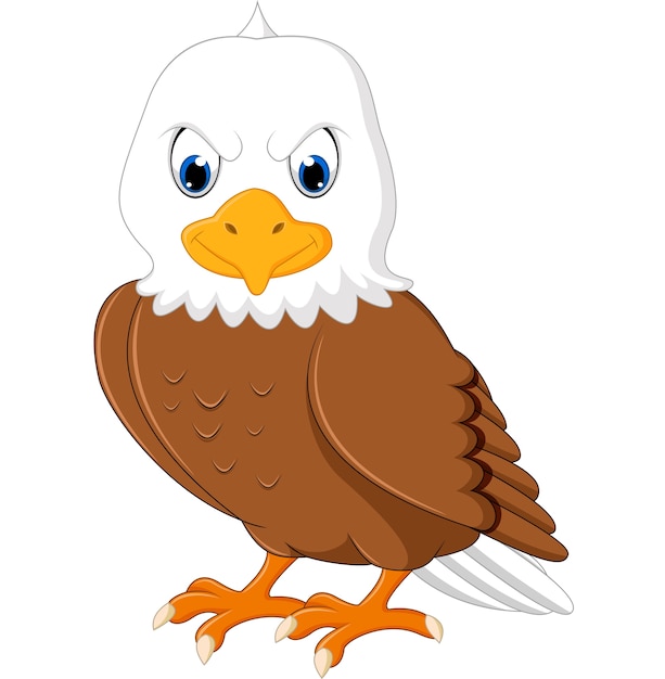 Dibujos animados lindo águila | Vector Premium Dibujos animados lindo águila | Vector Premium