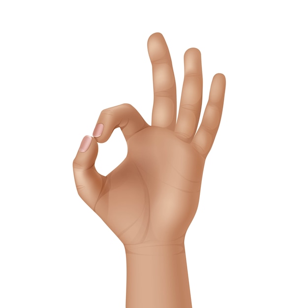 Ok signo gesto mano aislada sobre fondo blanco | Vector Premium Ok signo gesto mano aislada sobre fondo blanco | Vector Premium