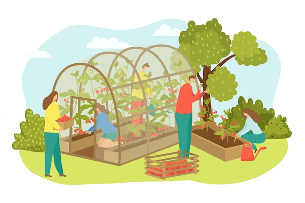 Planta De Agricultura De Invernadero En La Granja Ilustración De
