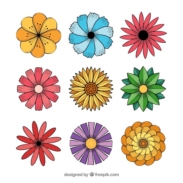 Set de flores dibujadas a mano | Vector Gratis Set de flores dibujadas a mano | Vector Gratis