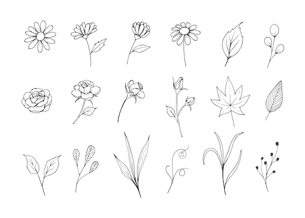 Coleção de desenho de flores com estilo de arte de linha | Vetor Premium Coleção de desenho de flores com estilo de arte de linha | Vetor Premium