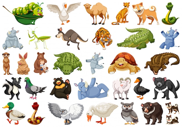 Conjunto de ilustrações de animais selvagens | Vetor Grátis Conjunto de ilustrações de animais selvagens | Vetor Grátis