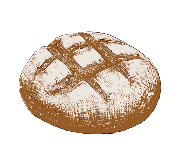Esboço desenhado de mão de pão em colorido | Vetor Premium Esboço desenhado de mão de pão em colorido | Vetor Premium