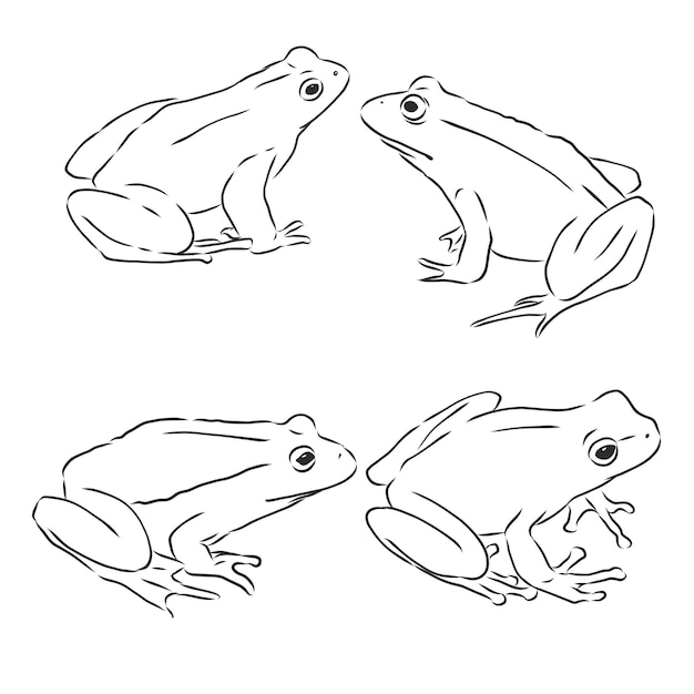 Esboço do desenho de um sapo isolado no branco, sapo, ilustração de ... Esboço do desenho de um sapo isolado no branco, sapo, ilustração de ...