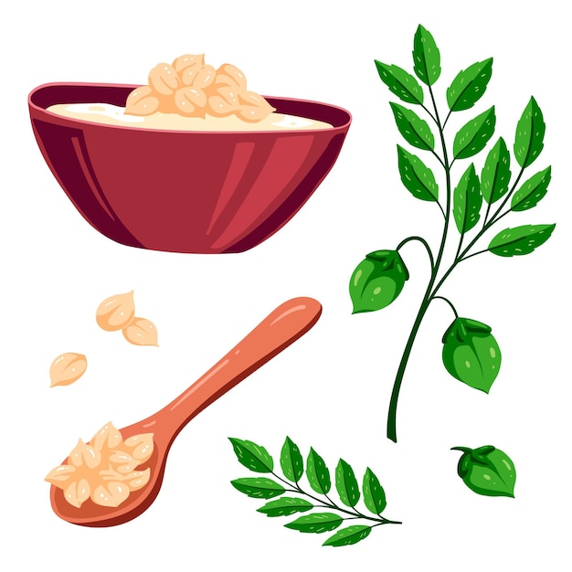 Feijão de grão de bico desenhado com ilustração de planta | Vetor Grátis Feijão de grão de bico desenhado com ilustração de planta | Vetor Grátis