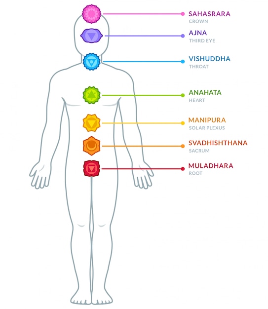 Infográfico de chakras do corpo masculino | Vetor Premium Infográfico de chakras do corpo masculino | Vetor Premium