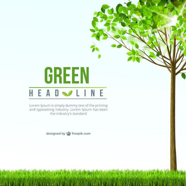 Groene achtergrond sjabloon | Premium Vector Groene achtergrond sjabloon | Premium Vector