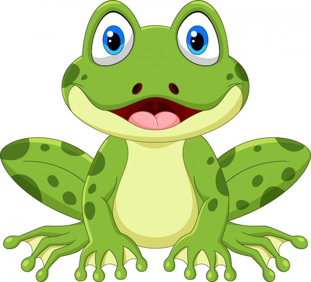 Leuke kikker cartoon | Premium Vector Leuke kikker cartoon | Premium Vector